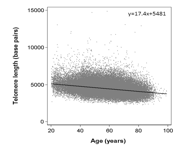 Large New Survey Tracks Telomere Length and Mortality - Josh Mitteldorf