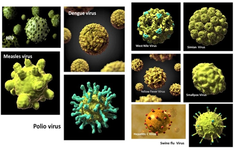 The surface ultrastructure of viruses is more common in nature than you ...