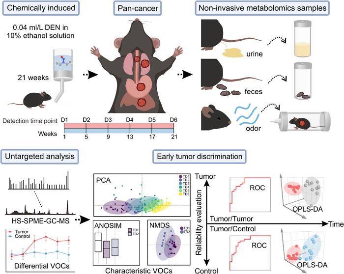 Scientists Find Cancer's Hidden Scent - SciChi