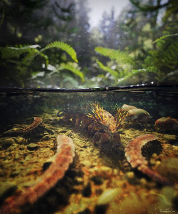 Armored Worm Reveals a Hidden Chapter in Animal Evolution - Wild Science