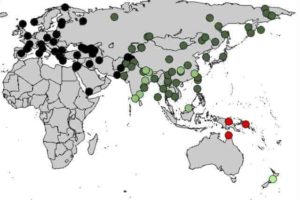 Ancient human relative interbred with ancestors of modern humans as ...
