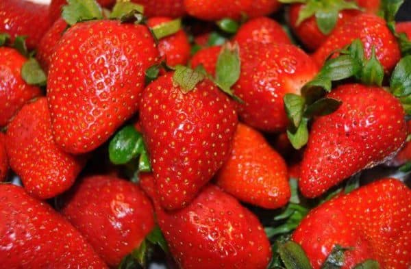 Study on mice demonstrates the action of strawberries against breast ...