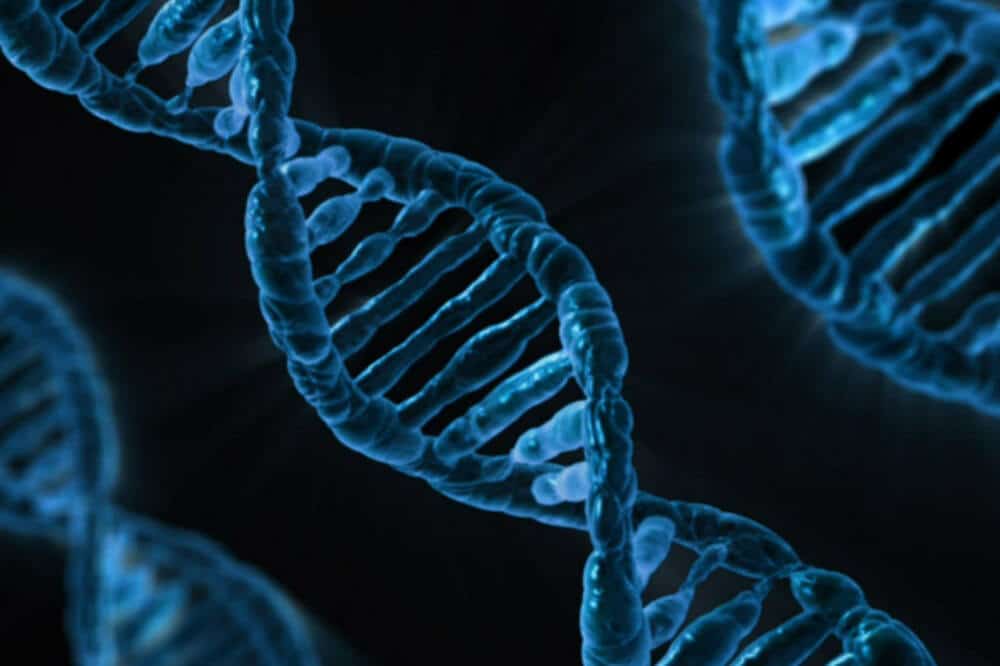 Gene editing embryos may lead to ‘pursuit of a conception of perfection ...