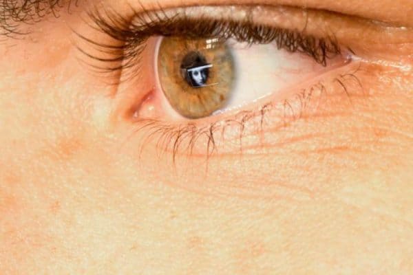 Mind Reading Algorithm Uses Eeg Data To Reconstruct Images Based On