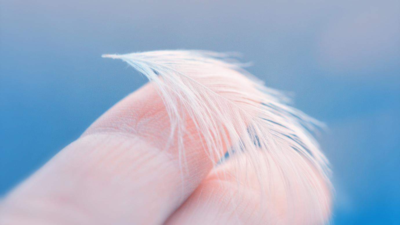 How the brain distinguishes textures—from sandpaper to silk ...