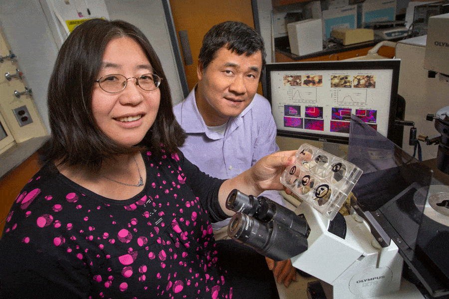 High-tech foam offers new tool for developing stem cells - ScienceBlog.com