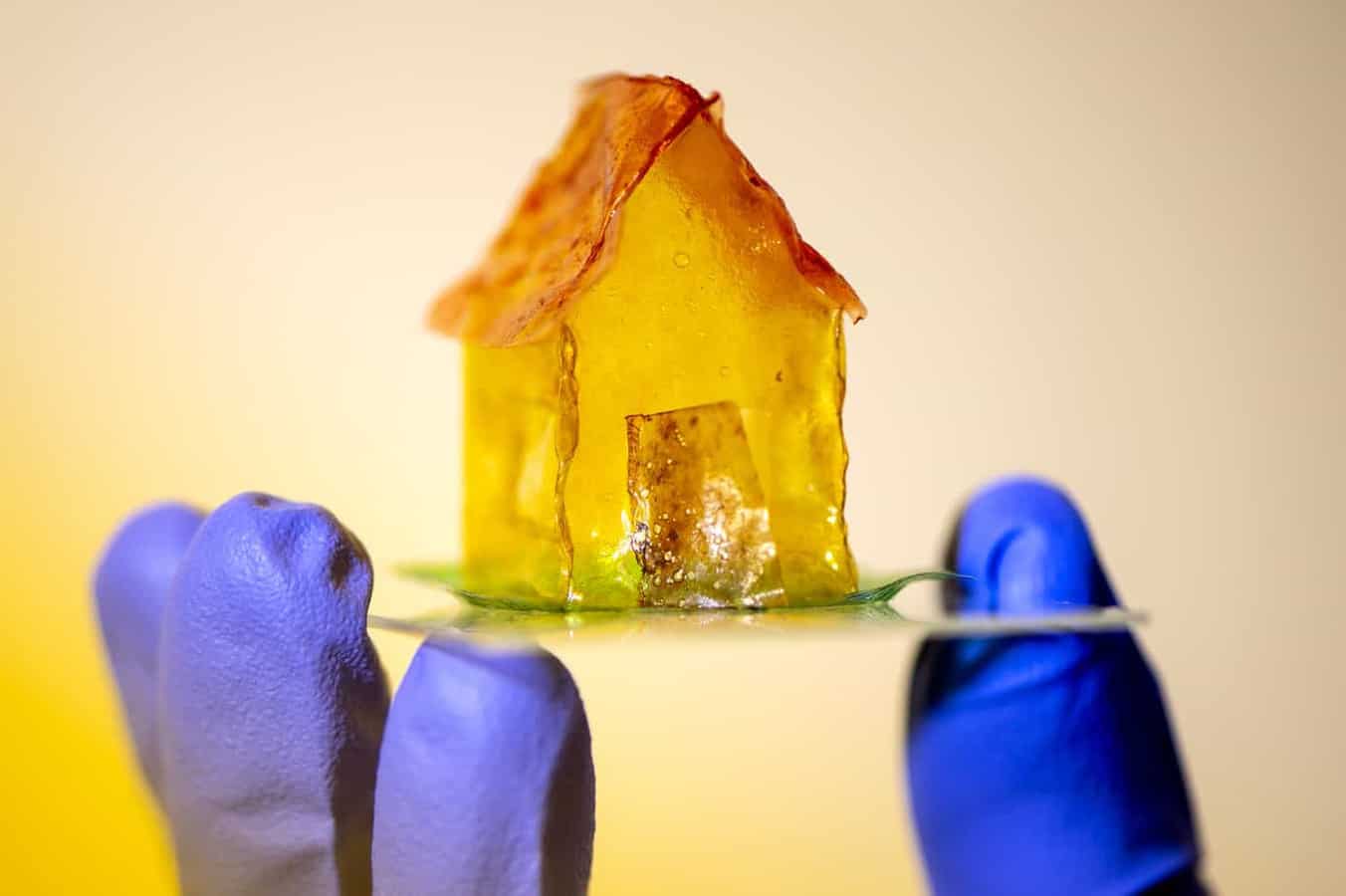 Could future homes be built with bacteria? - ScienceBlog.com