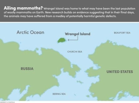 Scientists resurrect mammoth’s broken genes - ScienceBlog.com