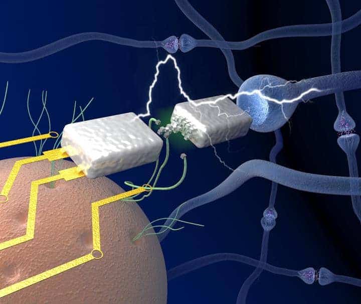 Researchers unveil electronics that mimic the human brain in efficient ...