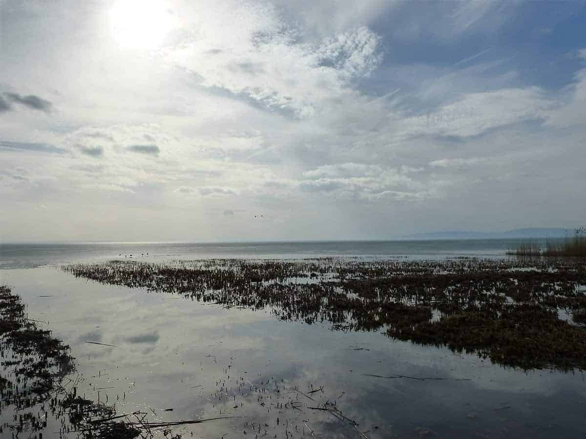 Melting Lakes - ScienceBlog.com