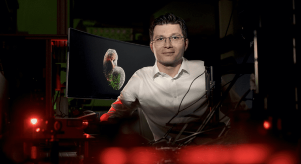 Reverse engineering the human brain by growing neural circuits in the ...