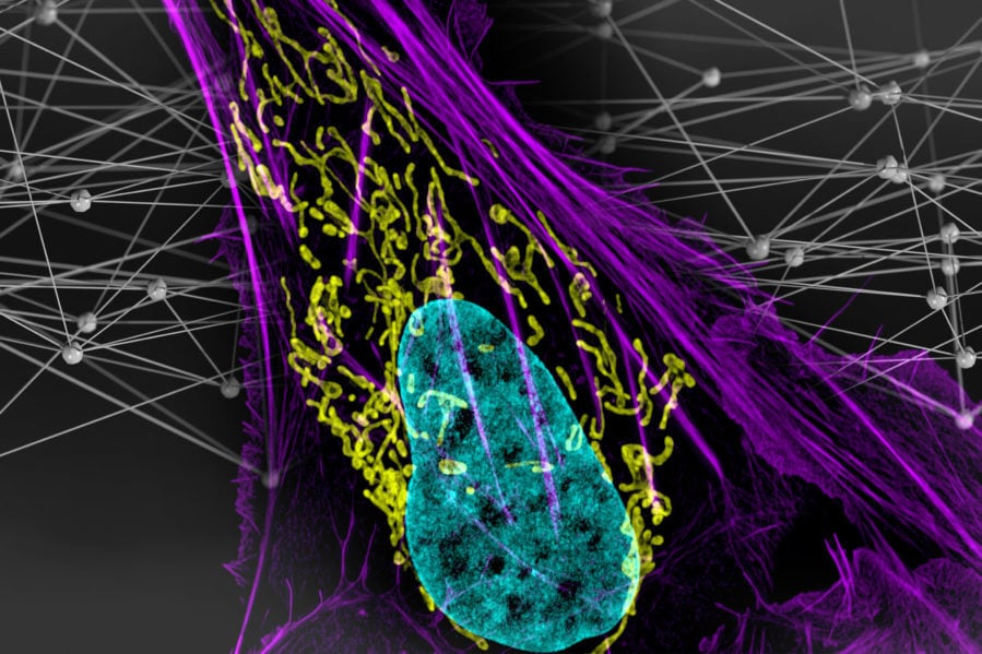 New model helps identify mutations that drive cancer - ScienceBlog.com