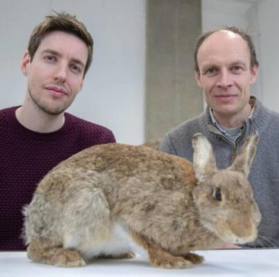 DNA profiling solves Australian rabbit plague puzzle - ScienceBlog.com