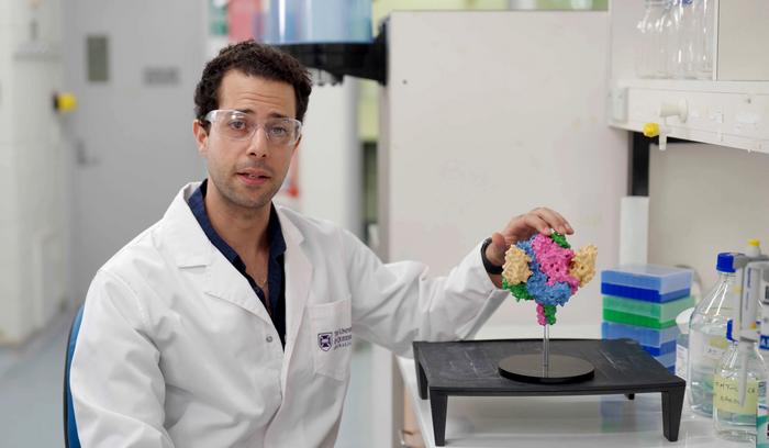 Tiny Antibody From Alpaca Blocks Two Deadly Viruses - ScienceBlog.com