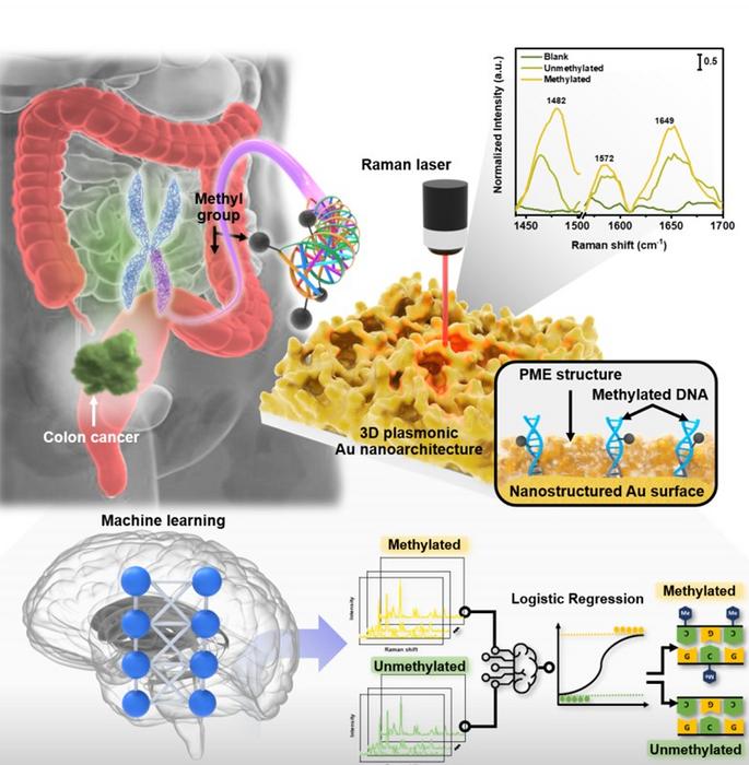 Light Sensor Detects Cancer DNA with 99% Accuracy - ScienceBlog.com