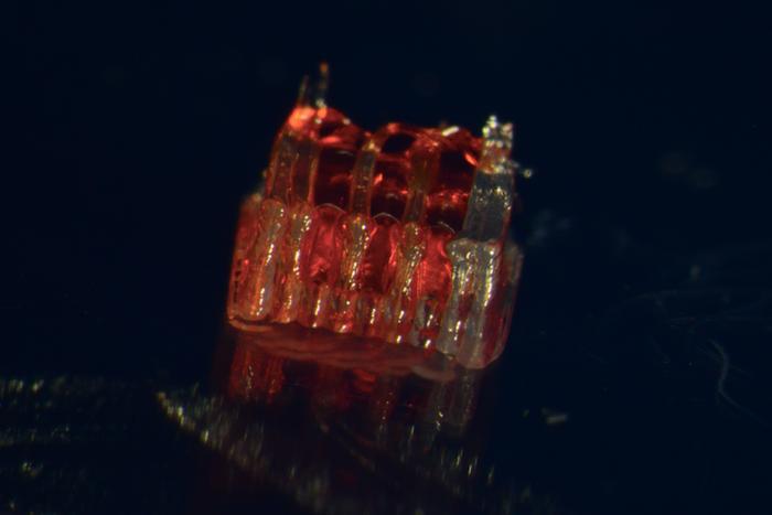 New 3D Printed Nerve Bridges Spark Hope for Spinal Injury Patients ...