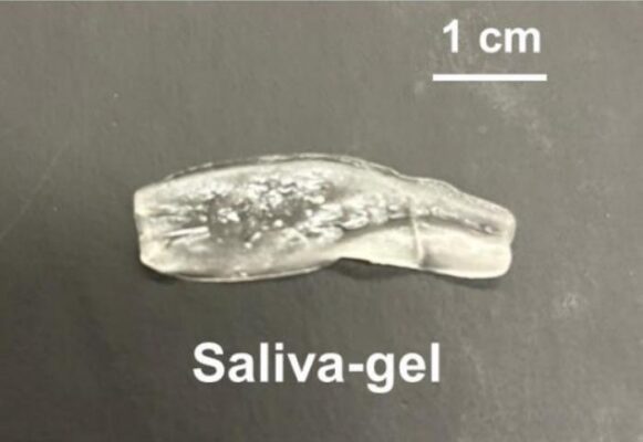 Fake Saliva Blob Helps Solve Dry Mouth - ScienceBlog.com