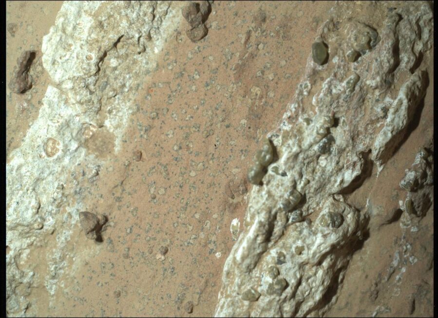 Mars Rock Shows Potential Signs Of Ancient Microbial Life - ScienceBlog.com