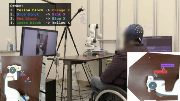 AI Co-Pilot Sharpens Brain-Computer Interfaces for Paralyzed Users - ScienceBlog.com