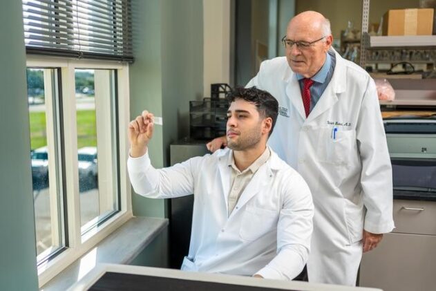 Brain's Fortress Holds Strong Against Alzheimer's - ScienceBlog.com