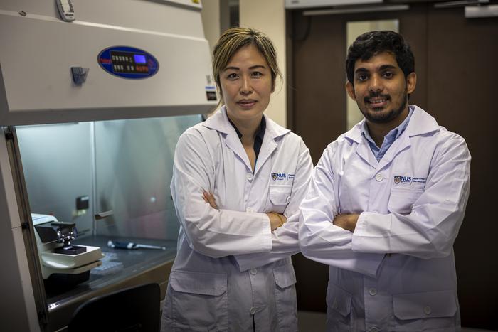 Scientists Keep Human Lymph Nodes Alive For A Week Outside The Body ...