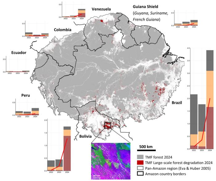 Amazon's Invisible Crisis: Fire Damage Now Worse Than Deforestation ...
