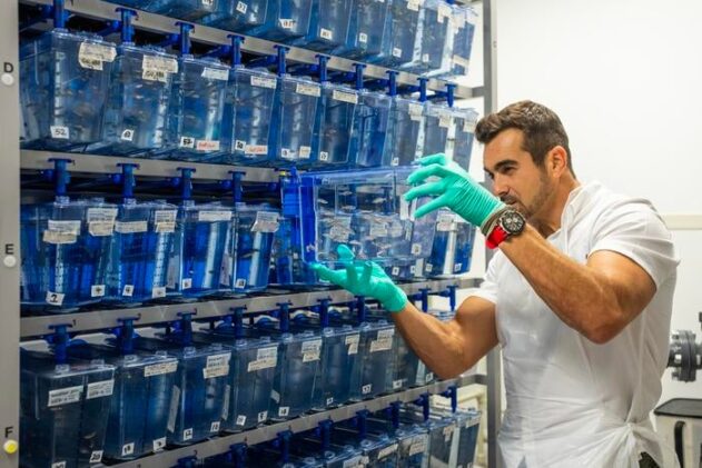 The Fish That Saved Two Million Dollars - ScienceBlog.com